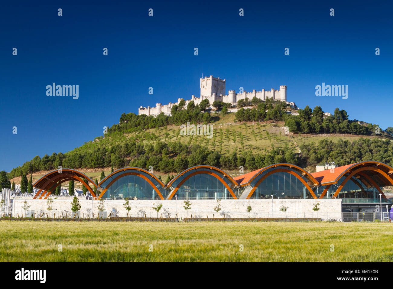 "Protos" winery and Castle. Peñafiel village. Ribera de Duero region ...