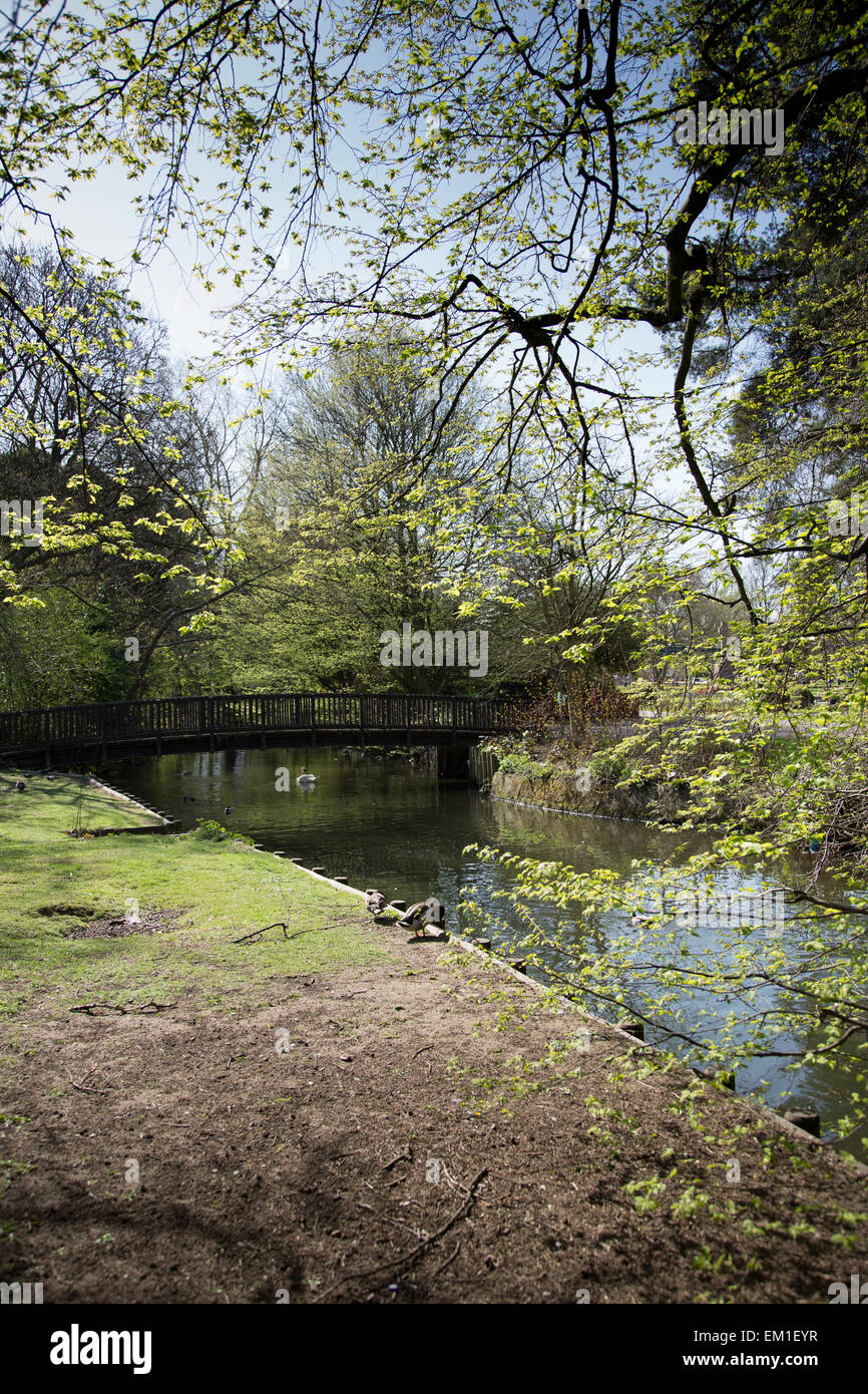 Riversley hi-res stock photography and images - Alamy