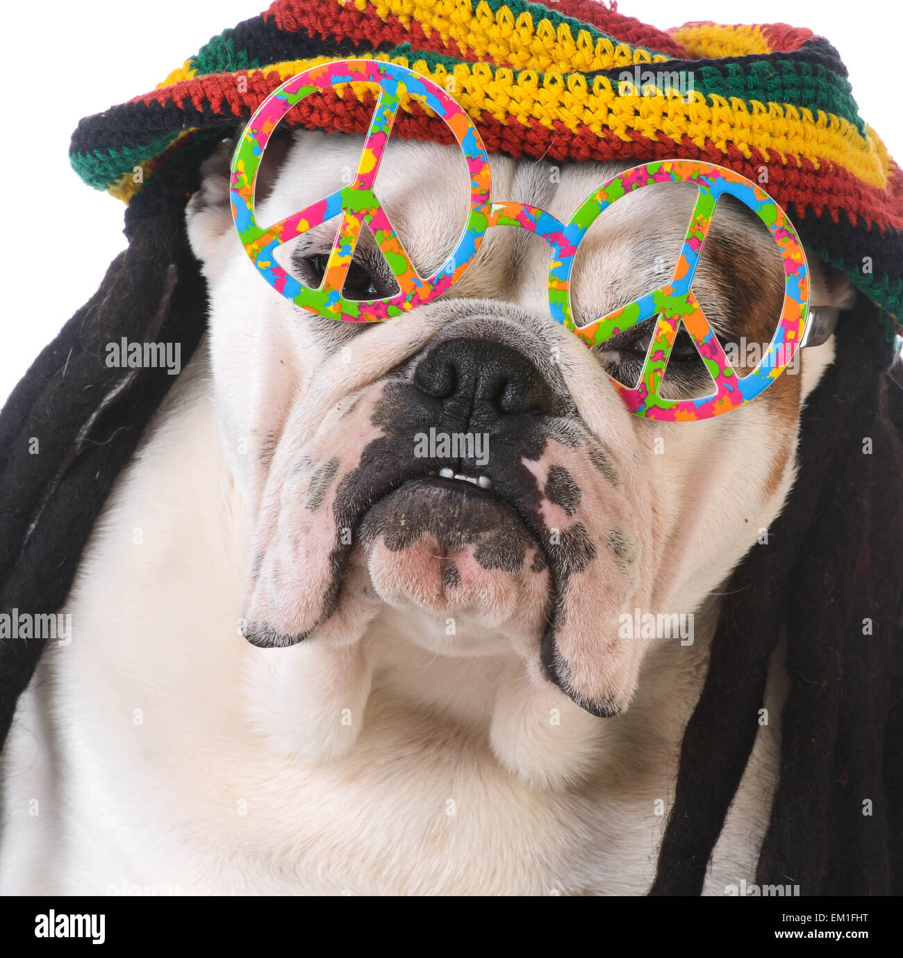 Lou Dog Rasta