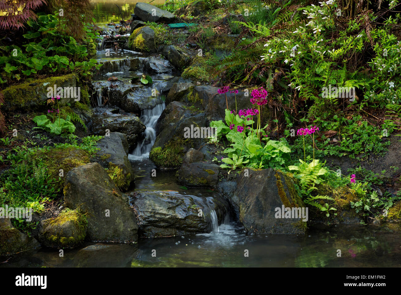 Japanese garden cascade hi-res stock photography and images - Alamy