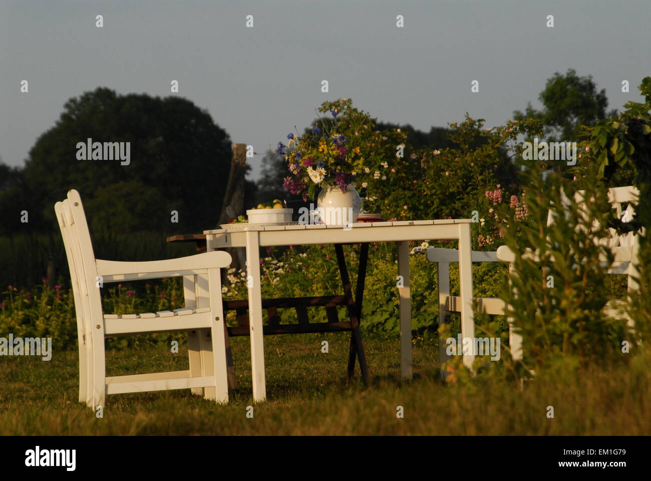 Midsummer dinner hi-res stock photography and images - Alamy