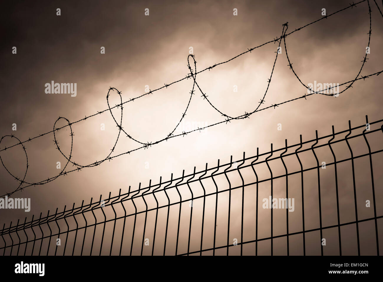 Barbed wire fence Stock Photo - Alamy