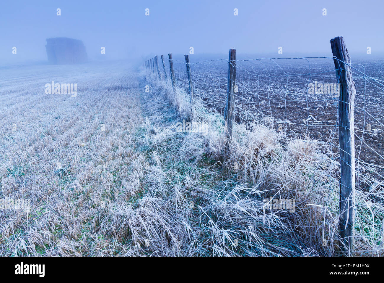 Farm in winter. Maturana, Alava, Basque Country. Spain, Europe Stock ...