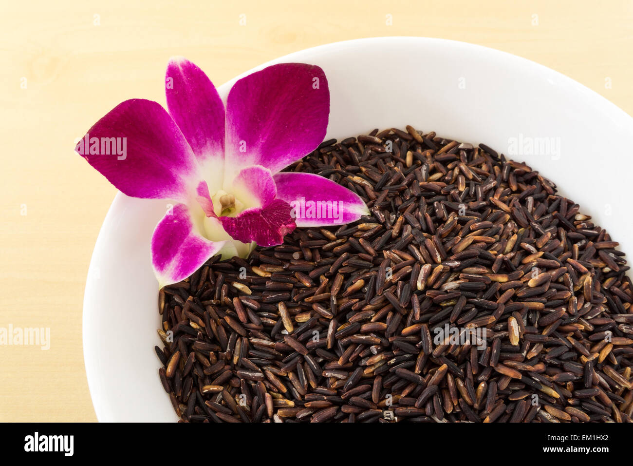 Thai orchid hi-res stock photography and images - Alamy