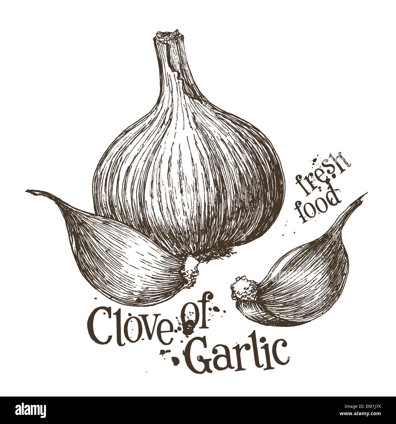 Spicy vector hi-res stock photography and images - Alamy