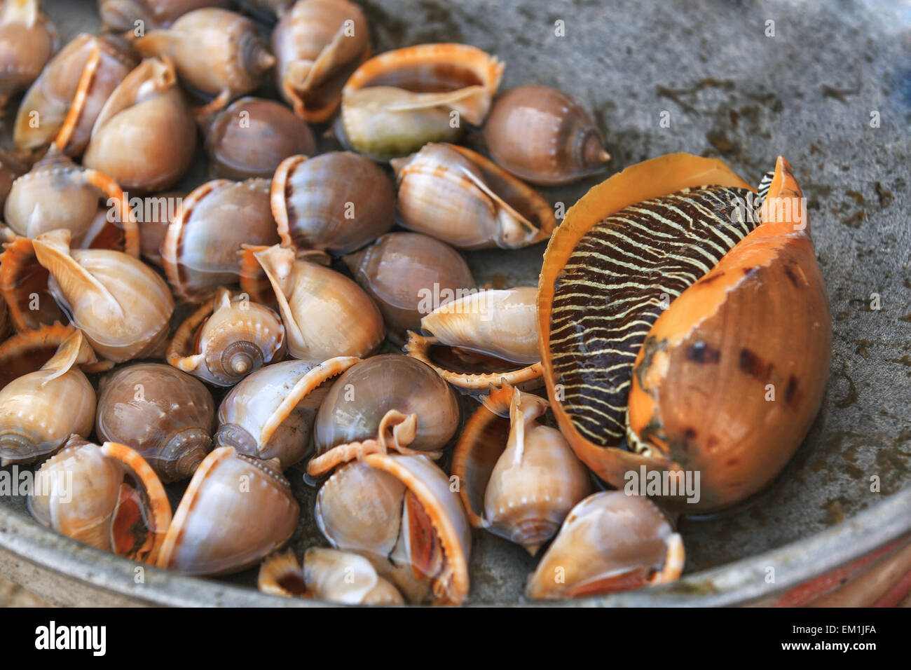 Traditional asian fish market Stock Photo - Alamy
