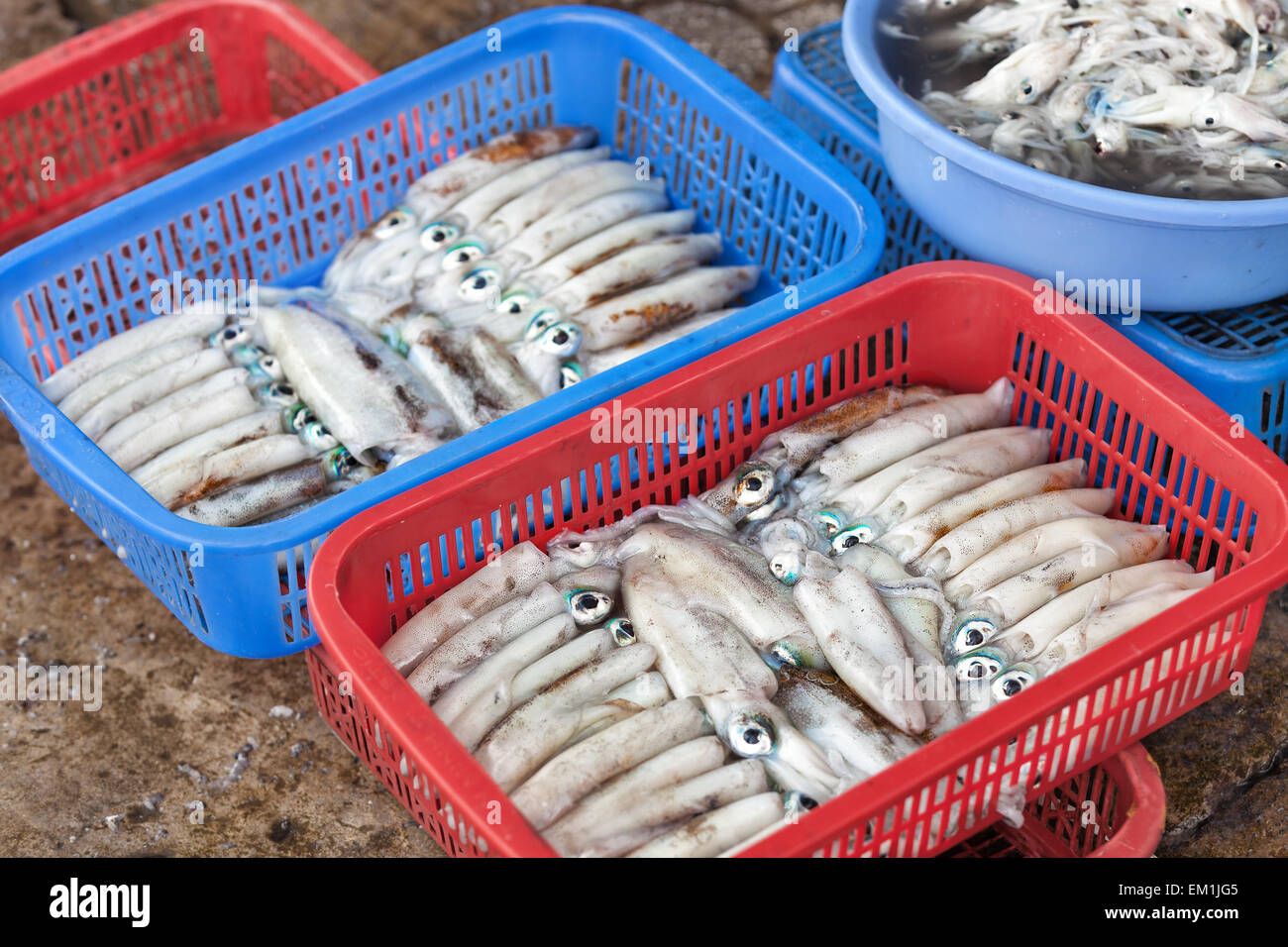 Traditional asian fish market Stock Photo - Alamy