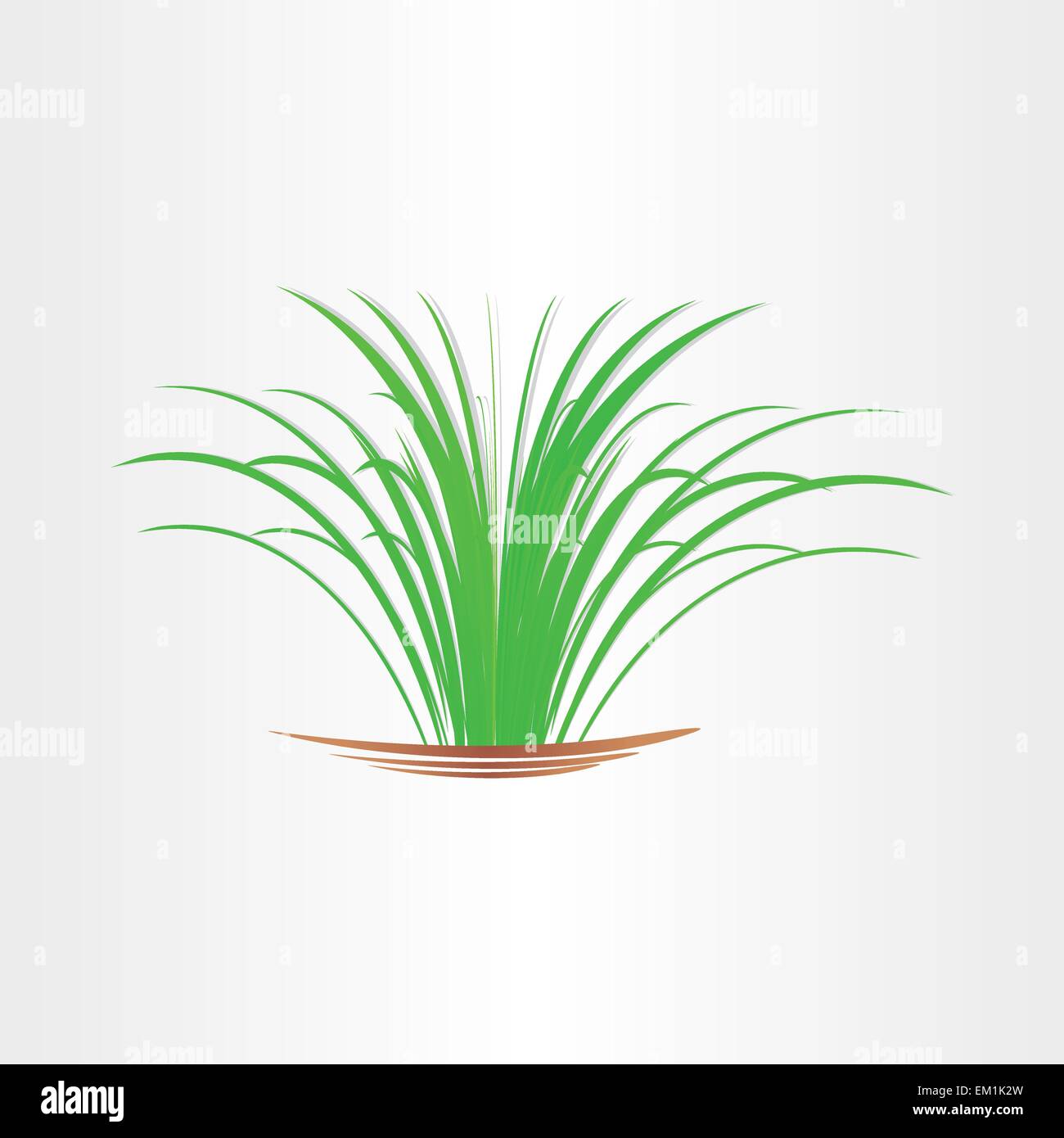 green lush grass abstract garden design element Stock Vector Image ...