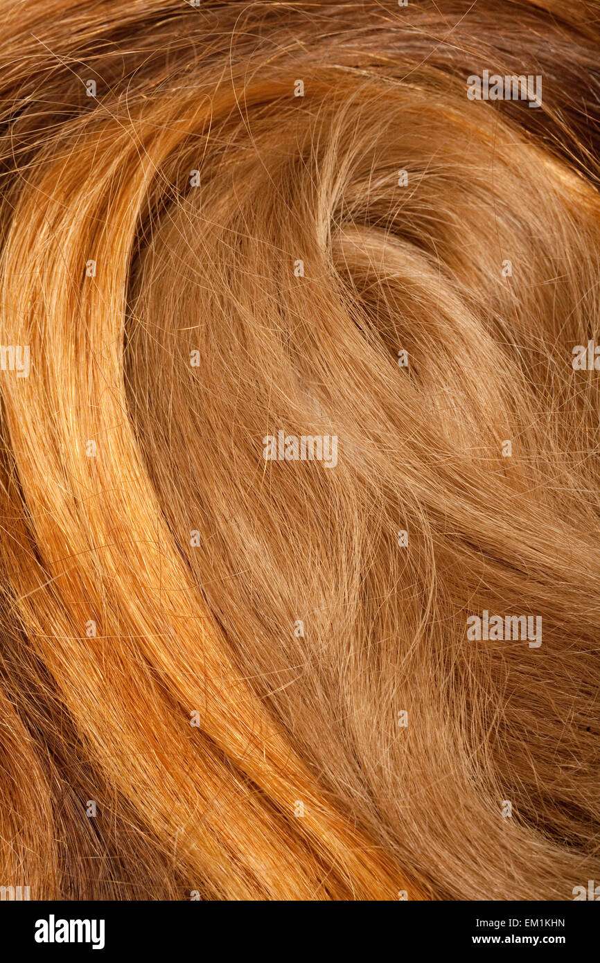 Human production hi-res stock photography and images - Alamy