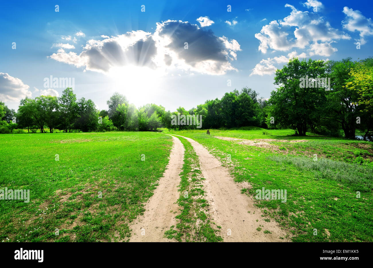 Bright sun over country road through the forest Stock Photo - Alamy