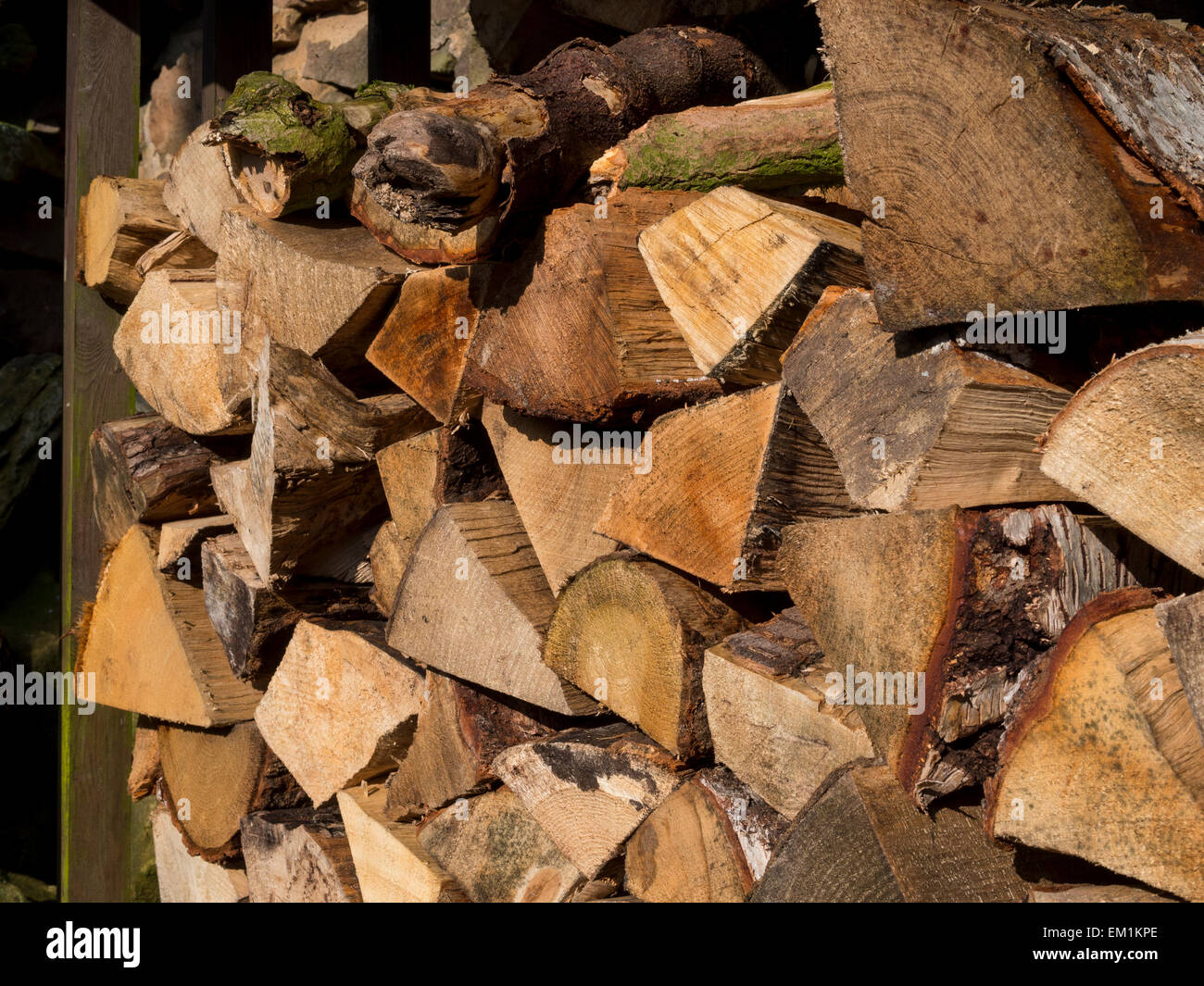 wood pile, Derbyshire,UK Stock Photo - Alamy