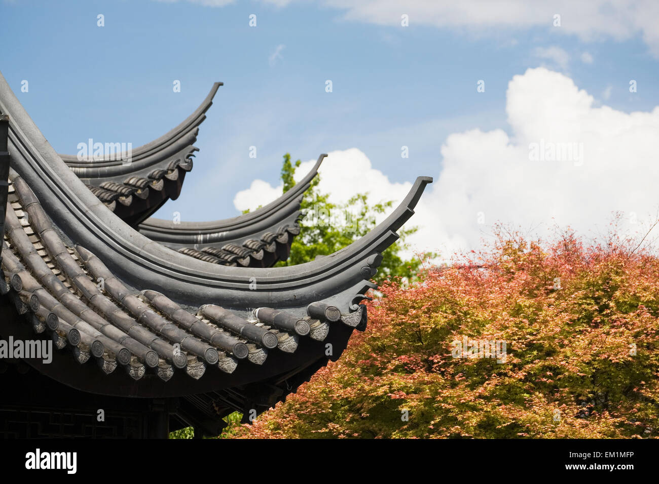 Detail Of A Curved Roof Line On A Pavilion; Portland Oregon United ...