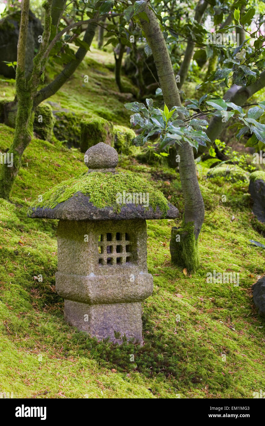 Moss Covered Stone Lantern On A Hillside With Trees In The Background ...