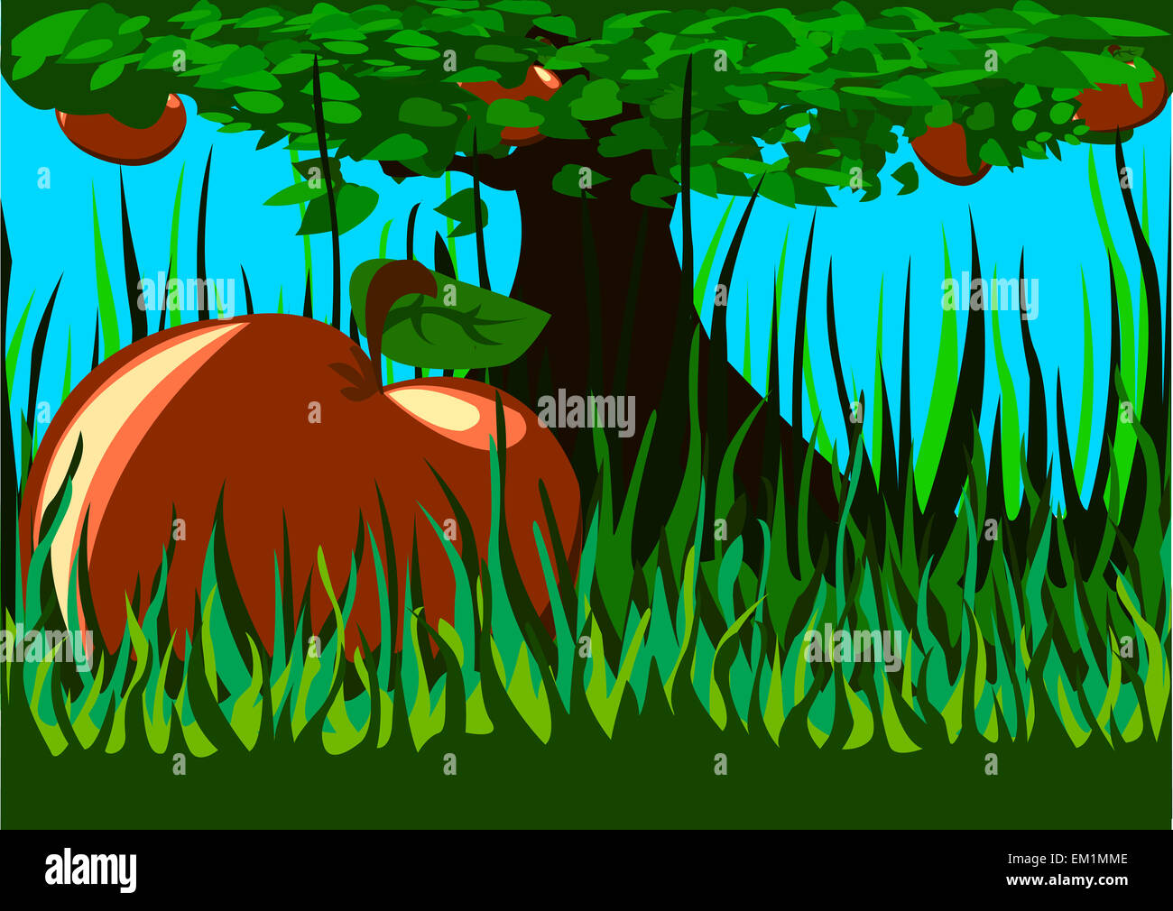 Apple tree with large Mature apples that fall in the grass Stock Photo ...