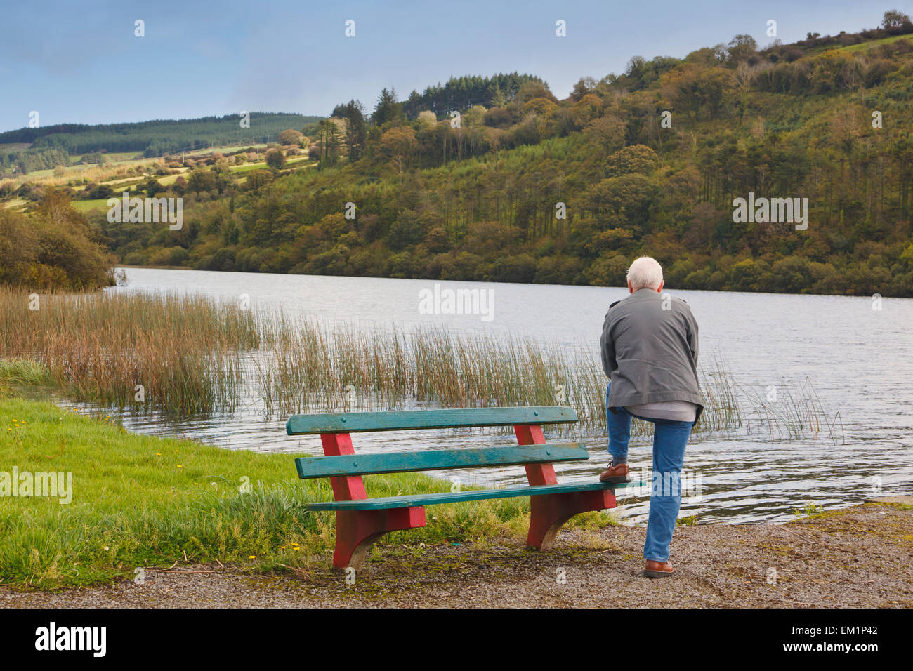 A Man Stands At A Bench Along The Shore Of Drinagh Lake; County Cork ...