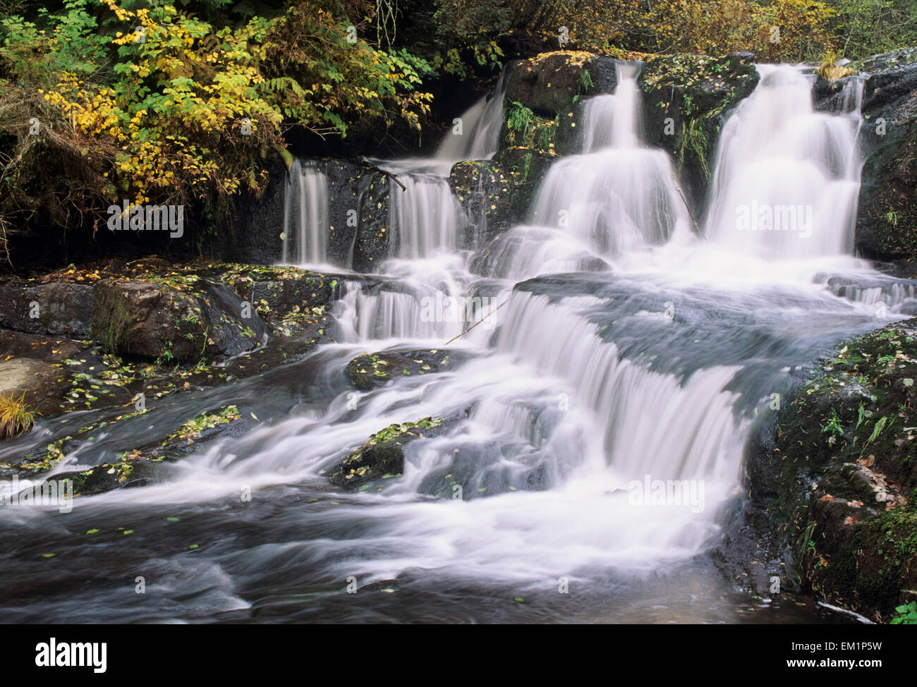 Northern oregon coast range hi-res stock photography and images - Alamy