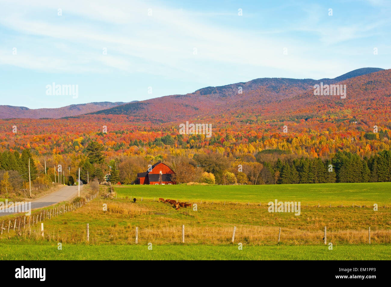 Barns quebec farms agriculture hi-res stock photography and images - Alamy