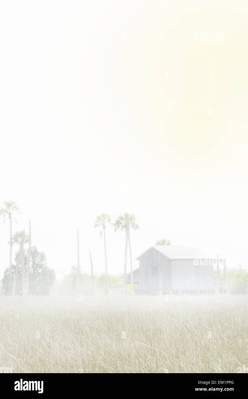 Swamp house hi-res stock photography and images - Alamy