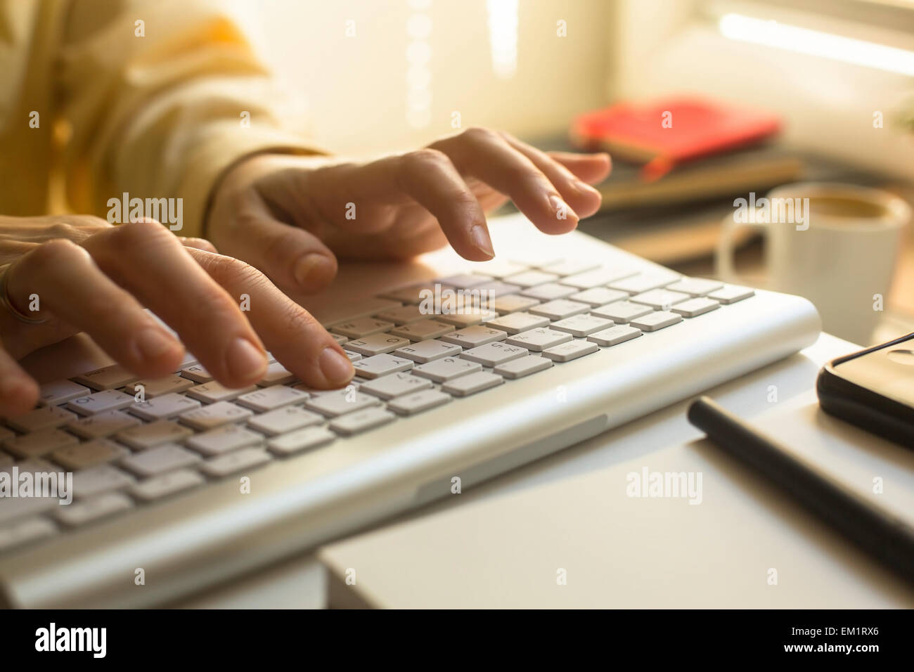 Female secretary inputting data to the office computer Stock Photo - Alamy