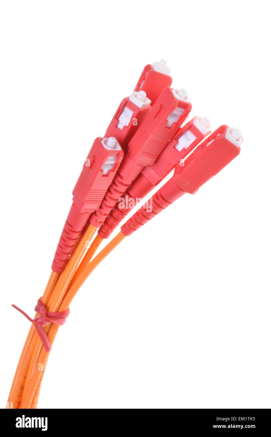 Optical patch cords isolate on white background Stock Photo - Alamy