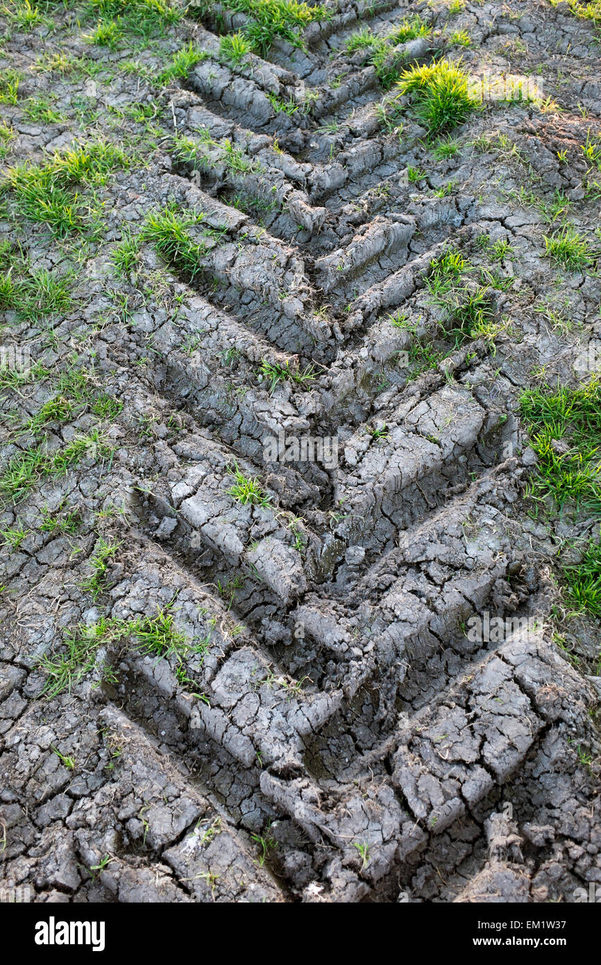 Dry tracks hi-res stock photography and images - Alamy