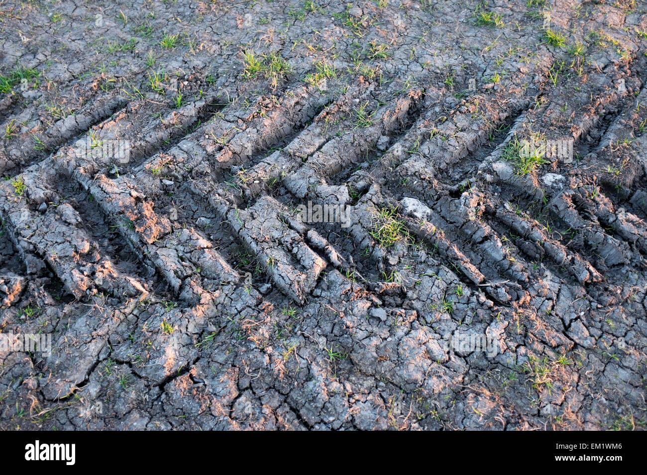 Tractor Tracks in Muddy Field Stock Photo - Alamy
