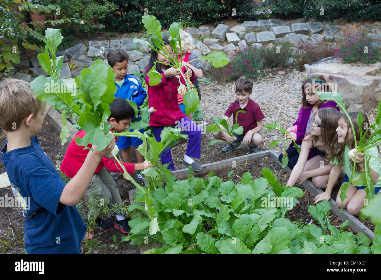 Urban Agriculture Program at The Paideia School, Atlanta, Georgia Stock ...