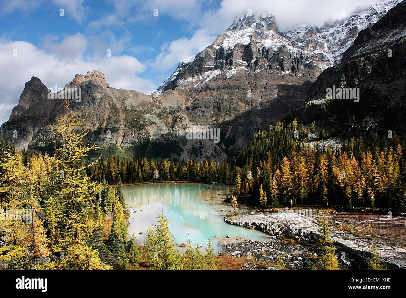 Mount Huber and Opabin Plateau, Yoho National Park, British Columbia ...