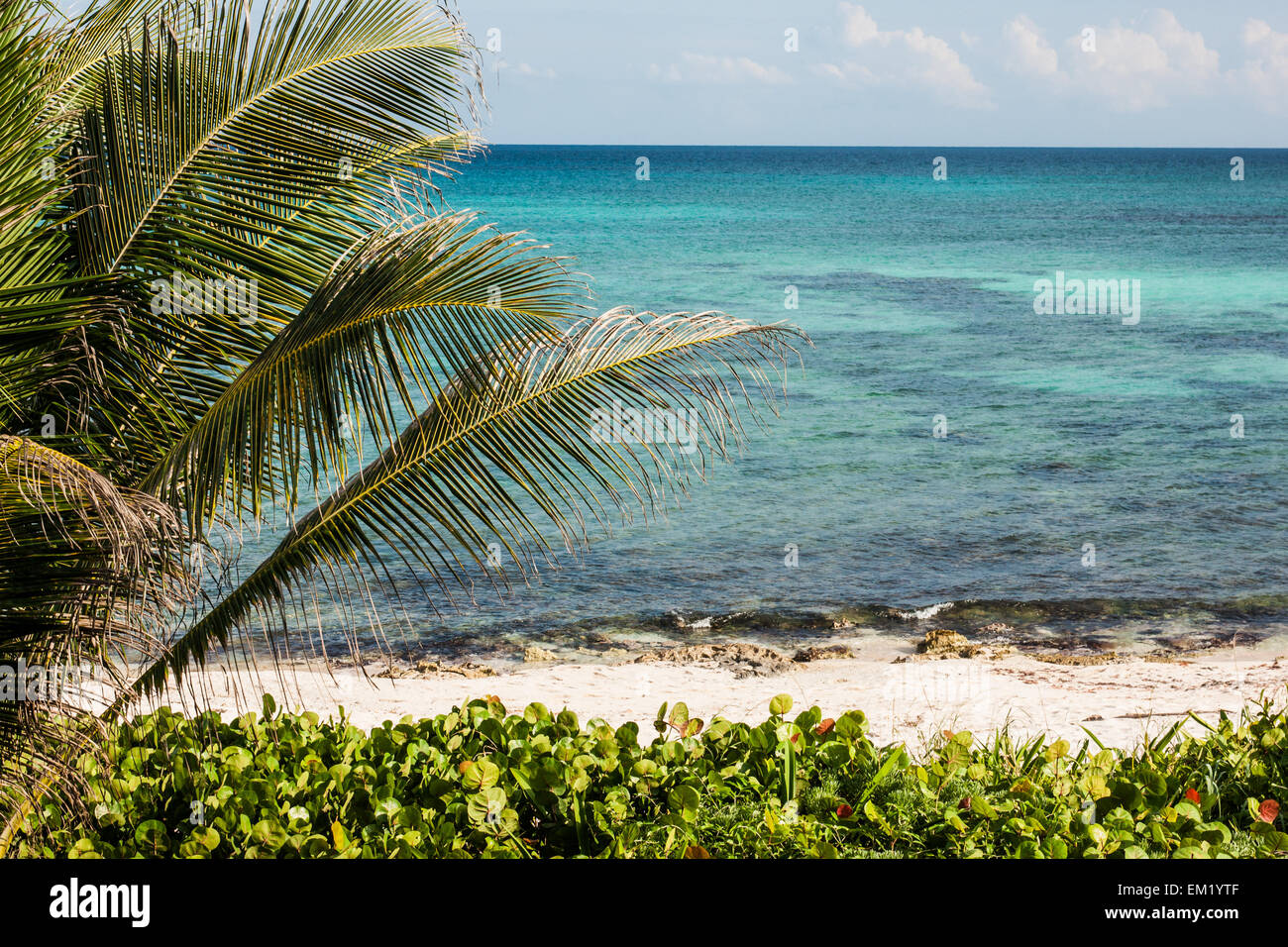 Oceanside shot of Mexico's Maya Riviera on the Caribbean Sea Stock ...