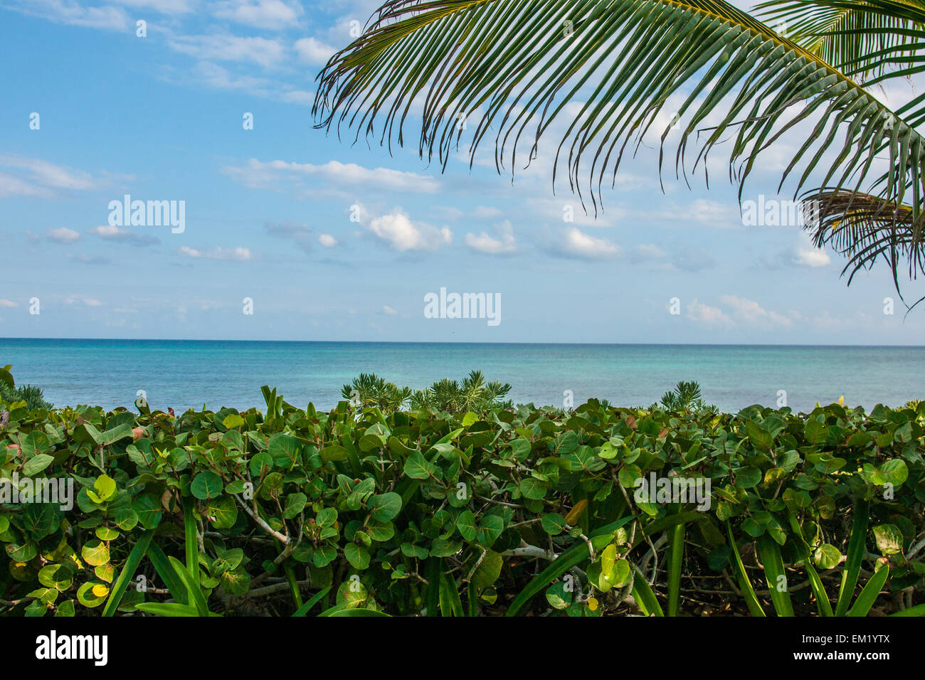 mexico, maya riviera beaches Stock Photo - Alamy