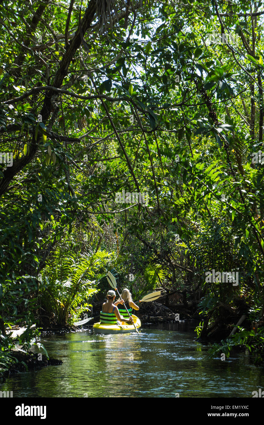 Redmangroves hi-res stock photography and images - Alamy