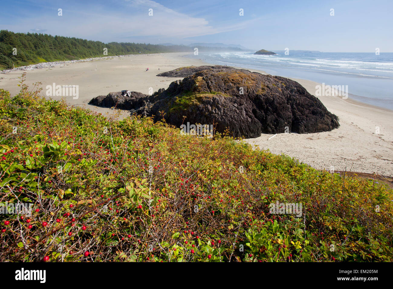 Long Beach In Pacific Rim National Park Near Tofino; British Columbia ...