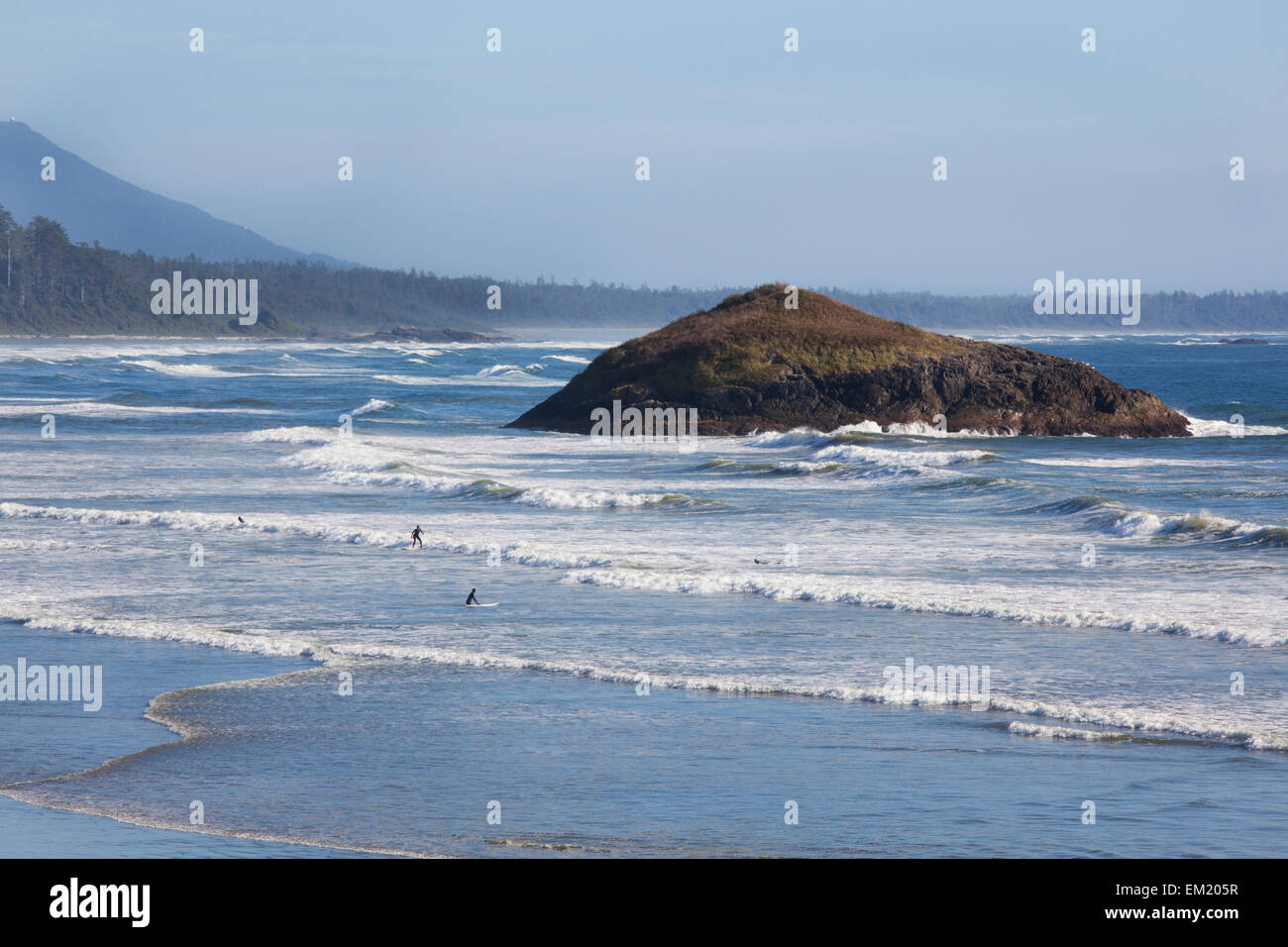 Surfers Surf In The Waves At Long Beach In Pacific Rim National Park ...
