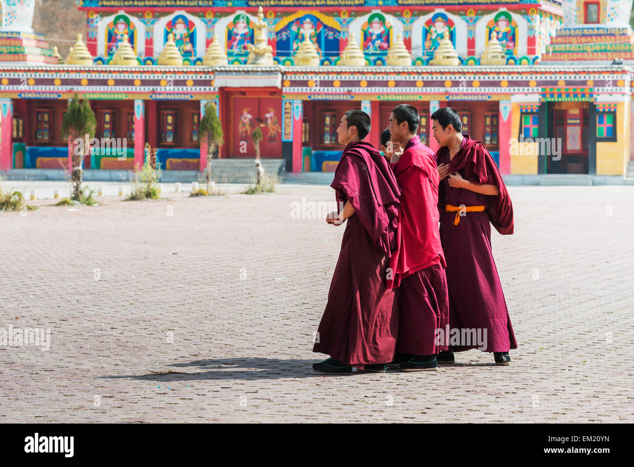 Young monks of Buddhist Wutun Si monastery; Tibet, China Stock Photo ...