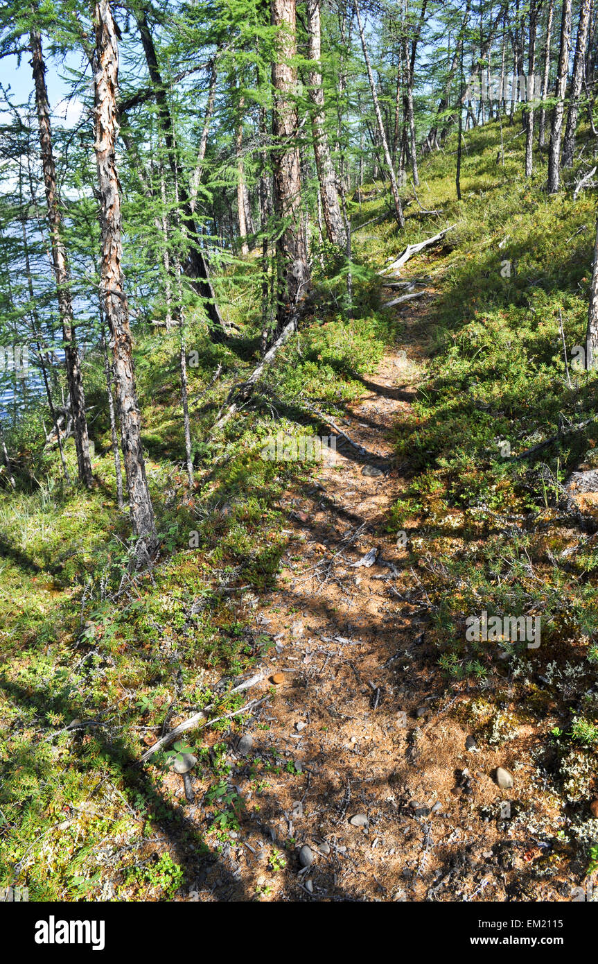 Water summer landscape surrounding the river Suntar in the Highlands of ...