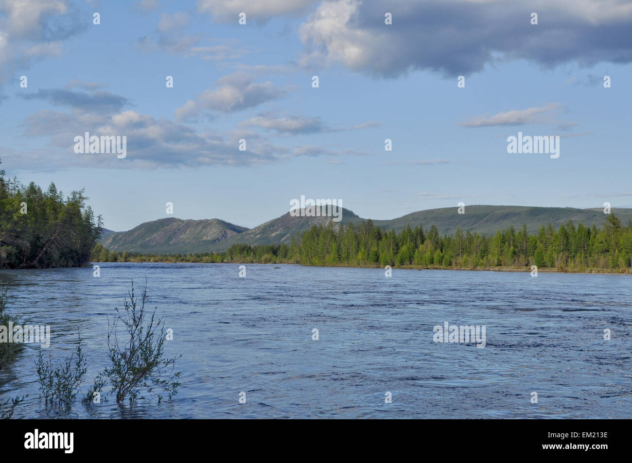 Water summer landscape surrounding the river Suntar in the Highlands of ...