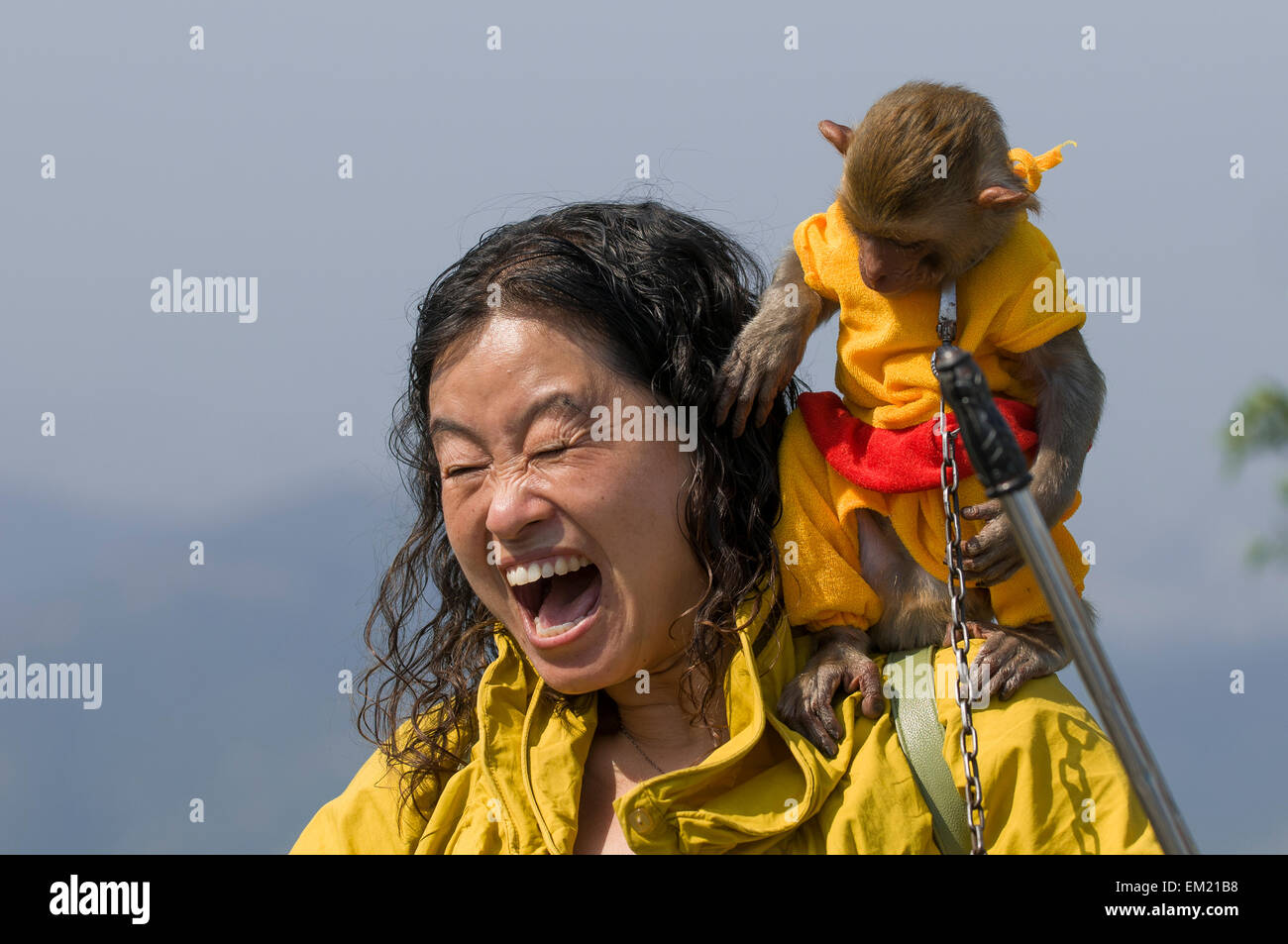 Macaque monkey poses with Chinese tourist on Huaguo Mountain scenic ...
