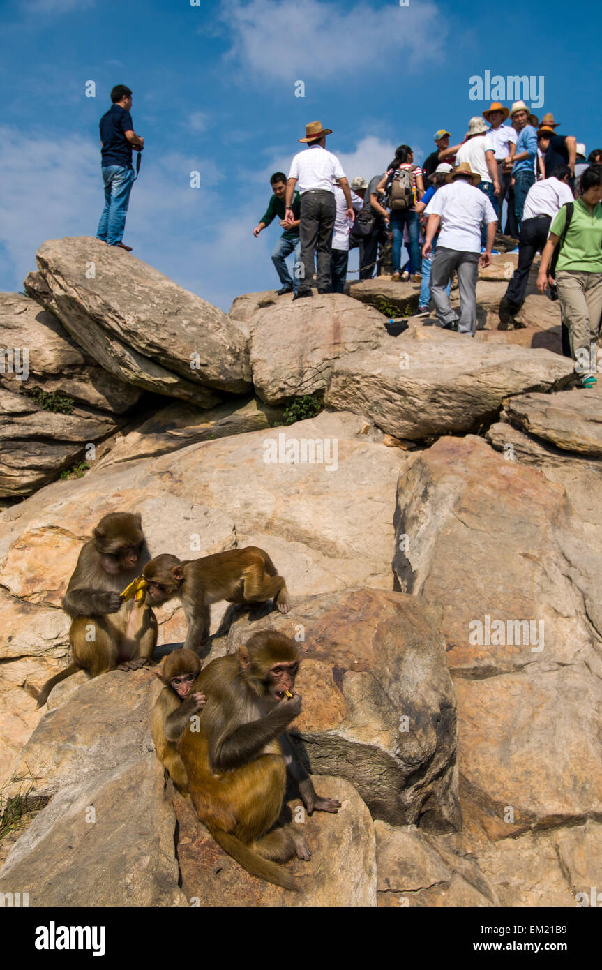 Huaguo mountain hi-res stock photography and images - Alamy