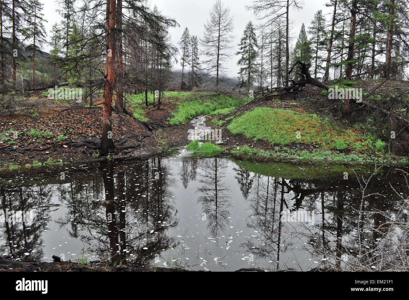 Water summer landscape surrounding the river Suntar in the Highlands of ...