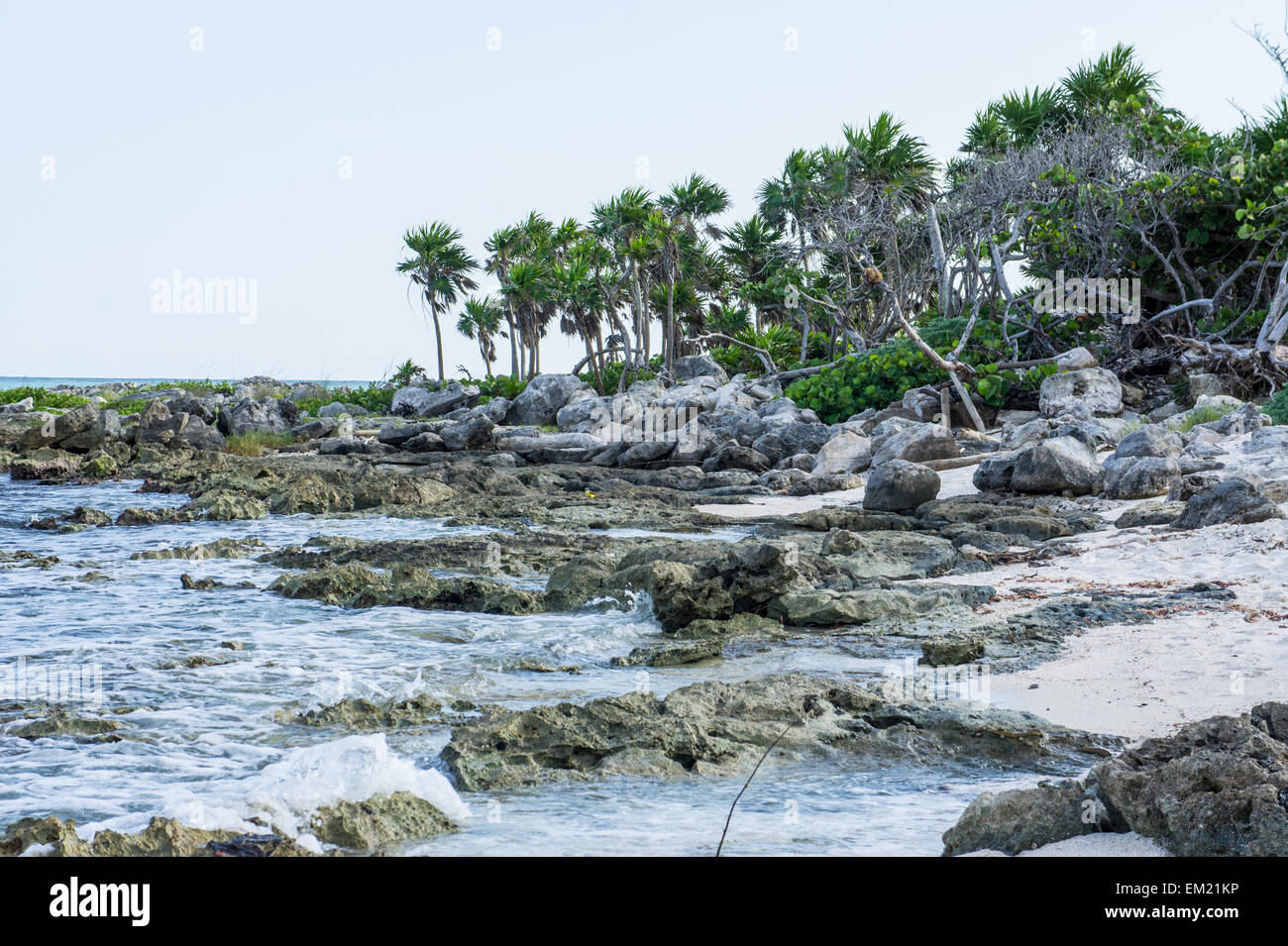 Oceanside shot of Mexico's Maya Riviera on the Caribbean Sea Stock ...