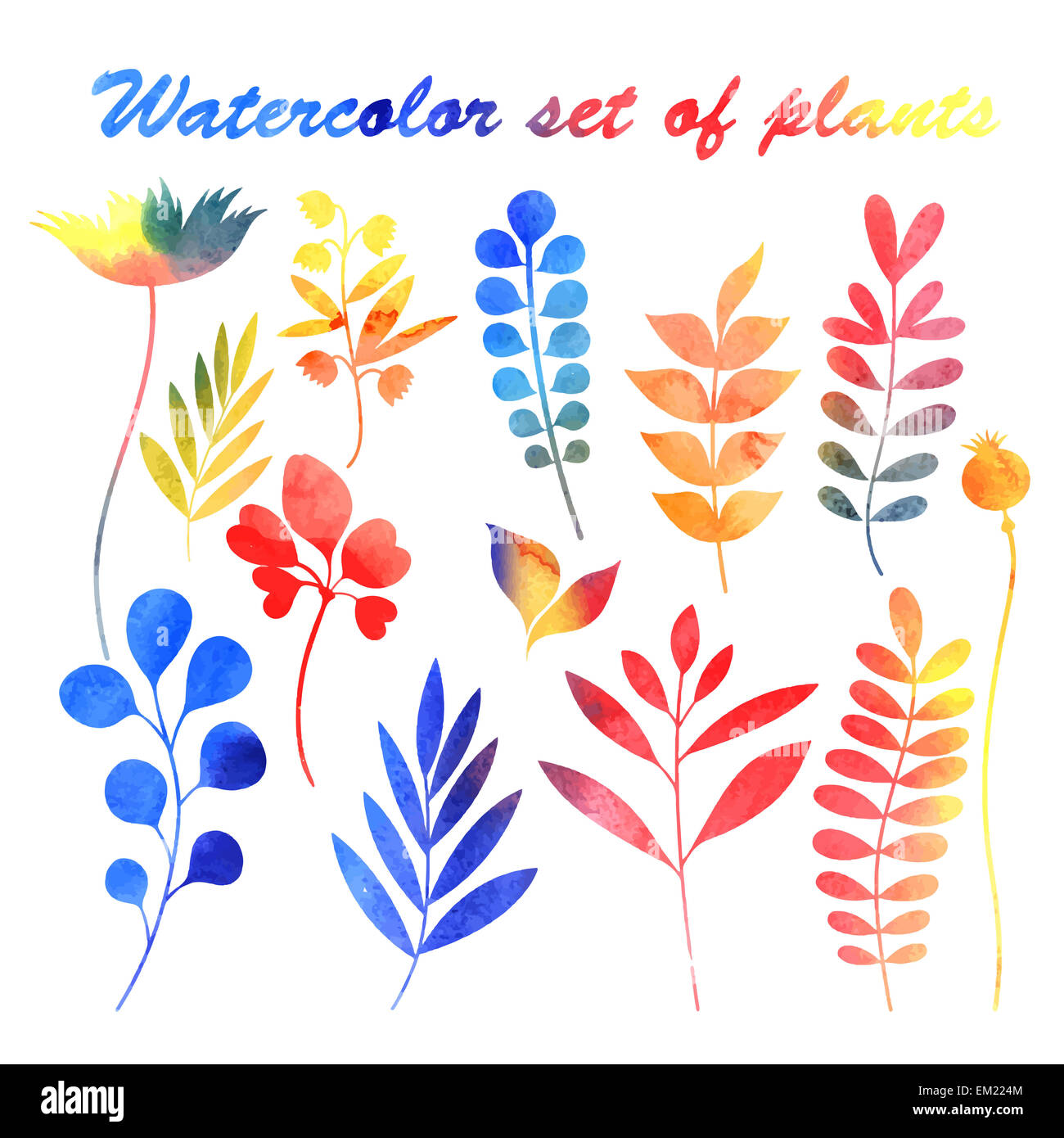 Set plants hi-res stock photography and images - Alamy