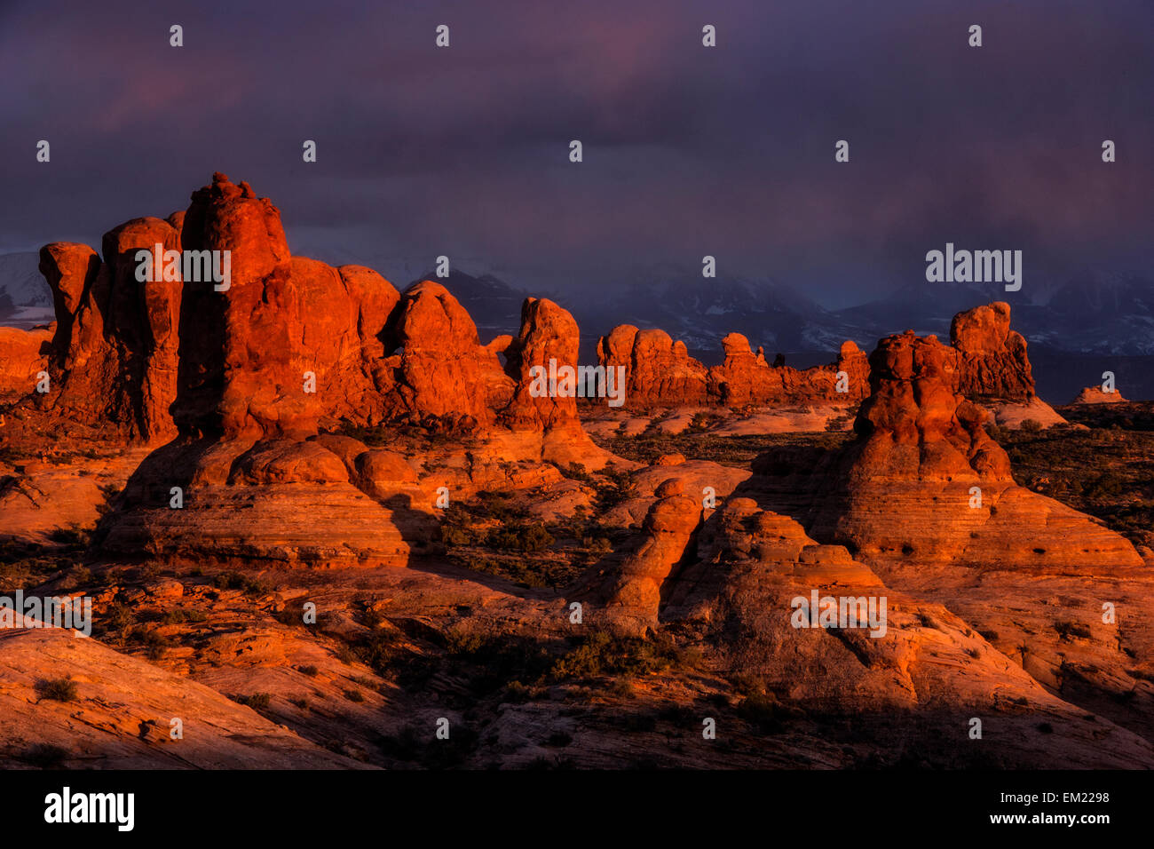 Explosive color of the Garden of Eden Stock Photo - Alamy