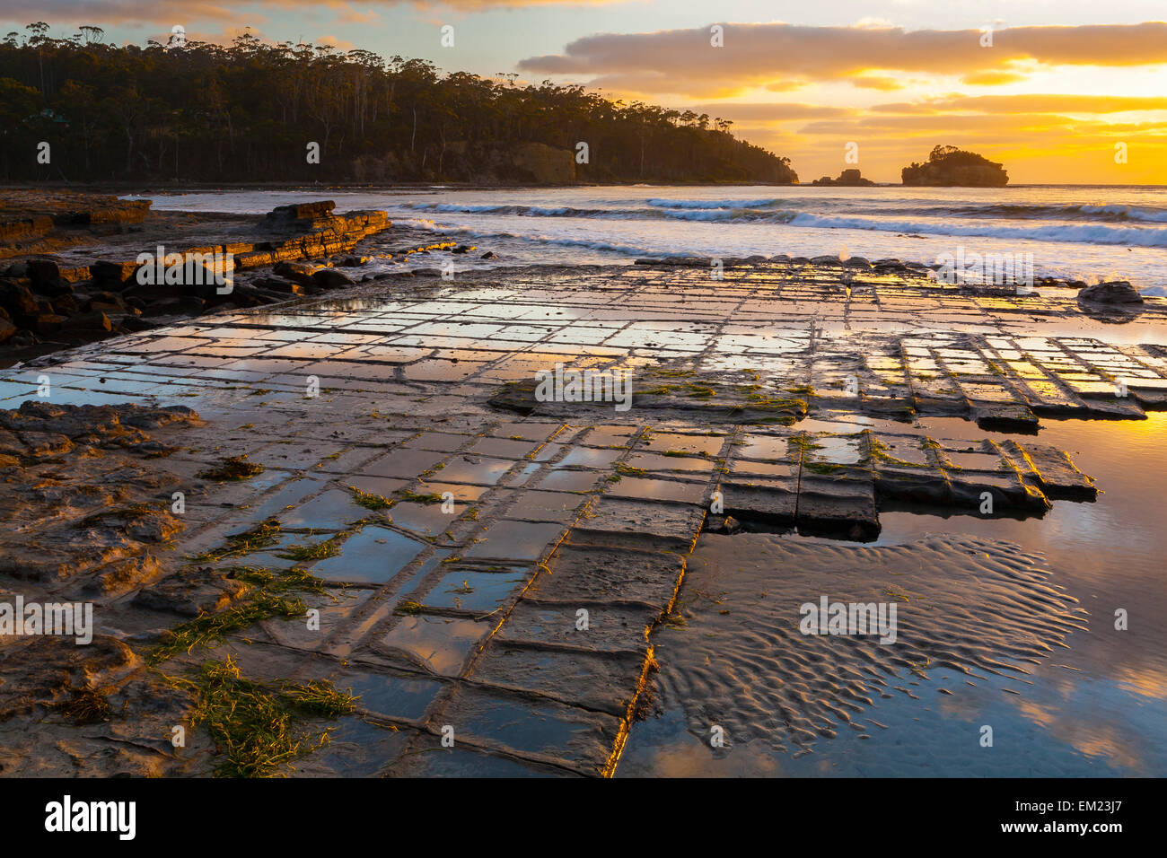 Tessellated Pavement - Forestier Peninsula - Tasmania - Australia Stock ...