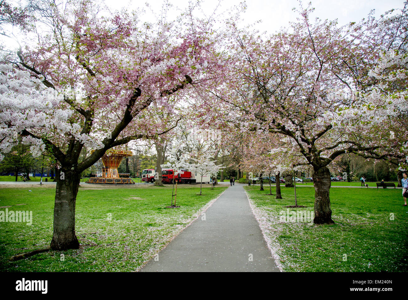 Springtime Flowers in Battersea Park London UK Stock Photo - Alamy