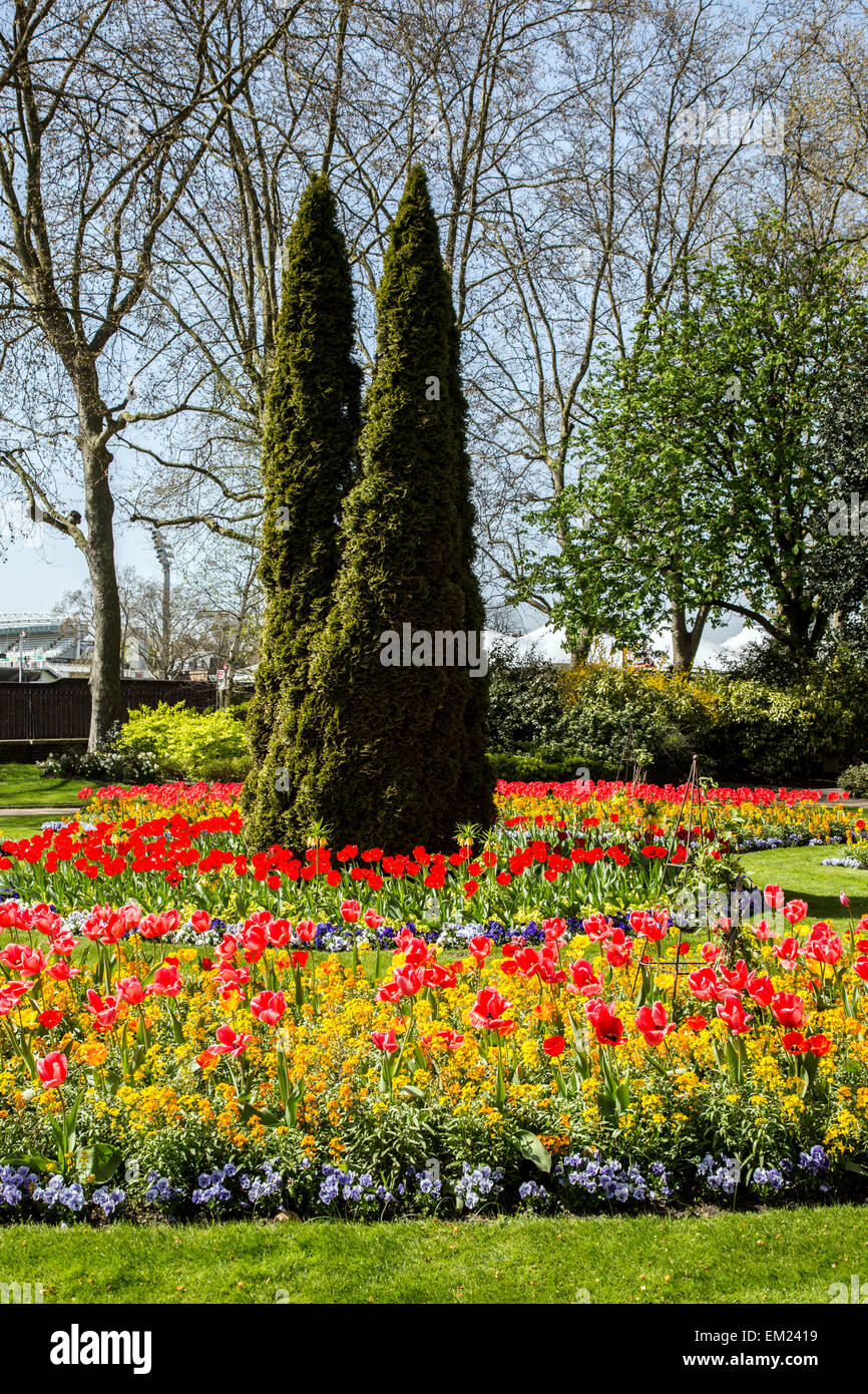 Springtime Flowers in St Johns Wood Church Gardens London UK Stock ...