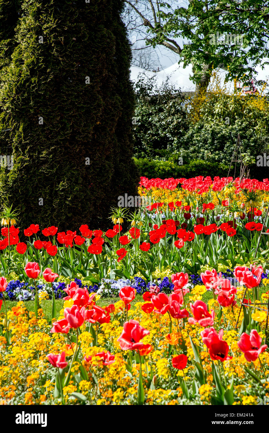 Springtime Flowers in St Johns Wood Church Gardens London UK Stock ...
