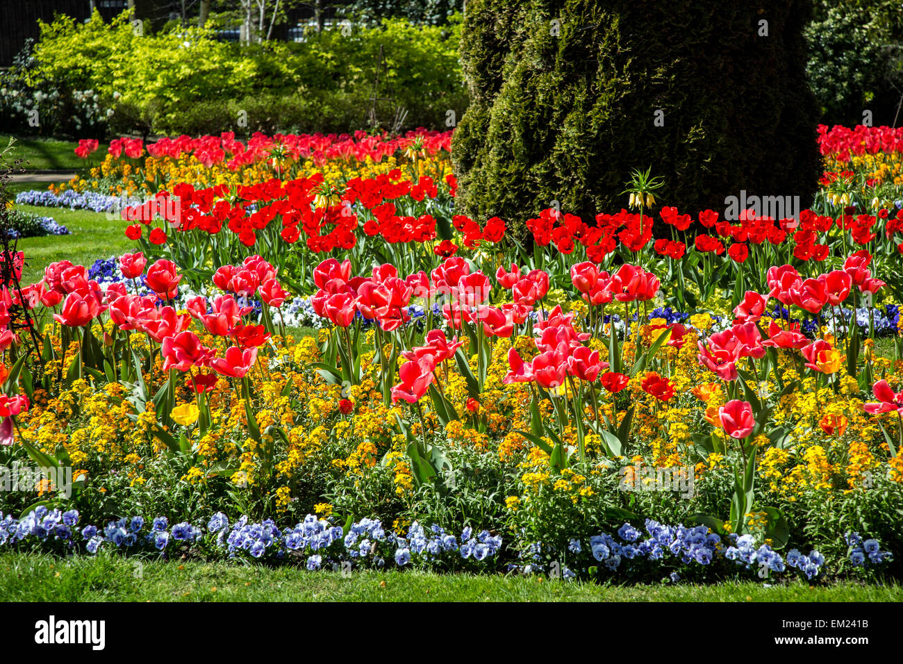 Springtime Flowers in St Johns Wood Church Gardens London UK Stock ...