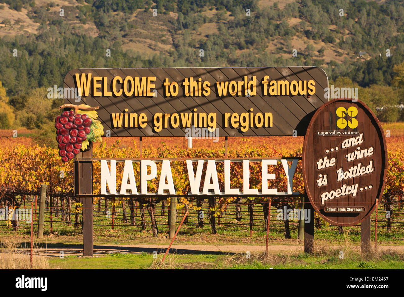 Napa Valley Vineyard In Autumn; California United States Of America ...
