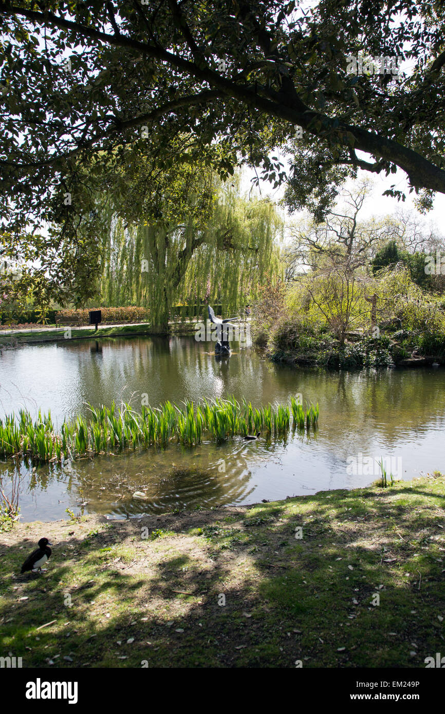 Park benches pond hi-res stock photography and images - Alamy