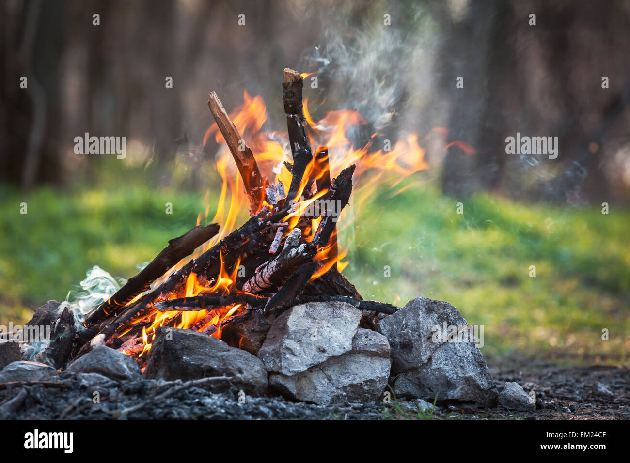 Bonfire in the spring forest. Coals of fire. Ukraine Stock Photo - Alamy